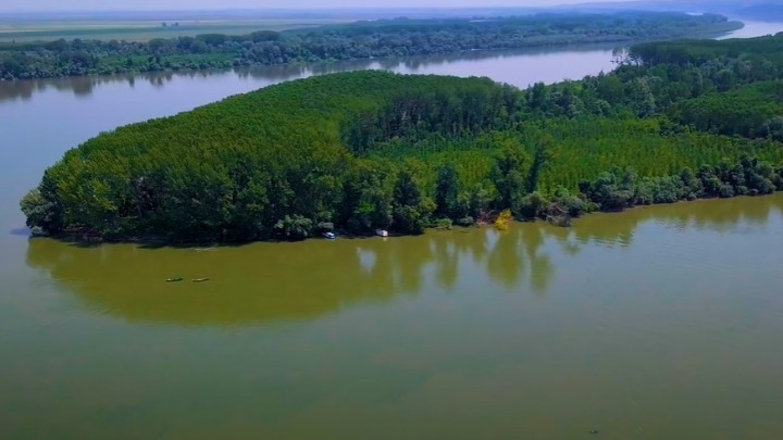 Pronađeno telo muškarca u Dunavu kod Futoga | Hronika | Direktno