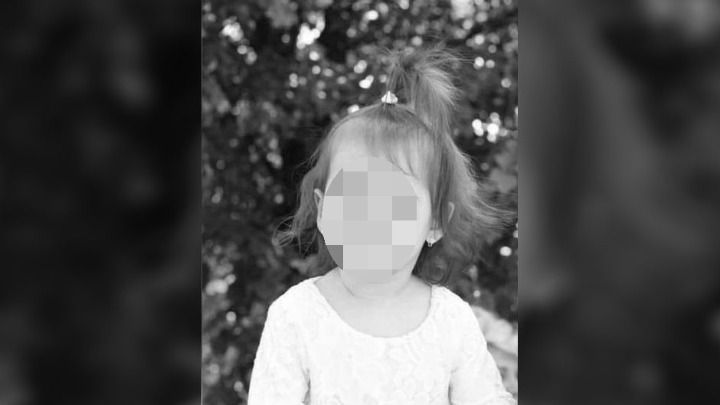 Pojavili se novi svedoci u slučaju male Danke | Hronika | Direktno